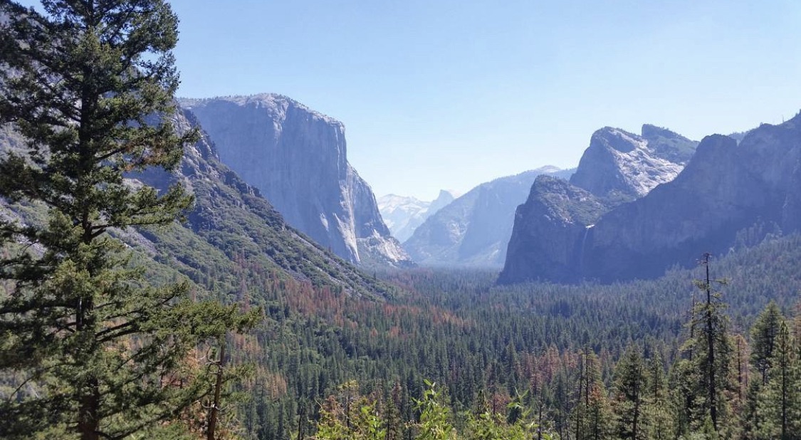 Outdoor Ed Resources – Firelilies